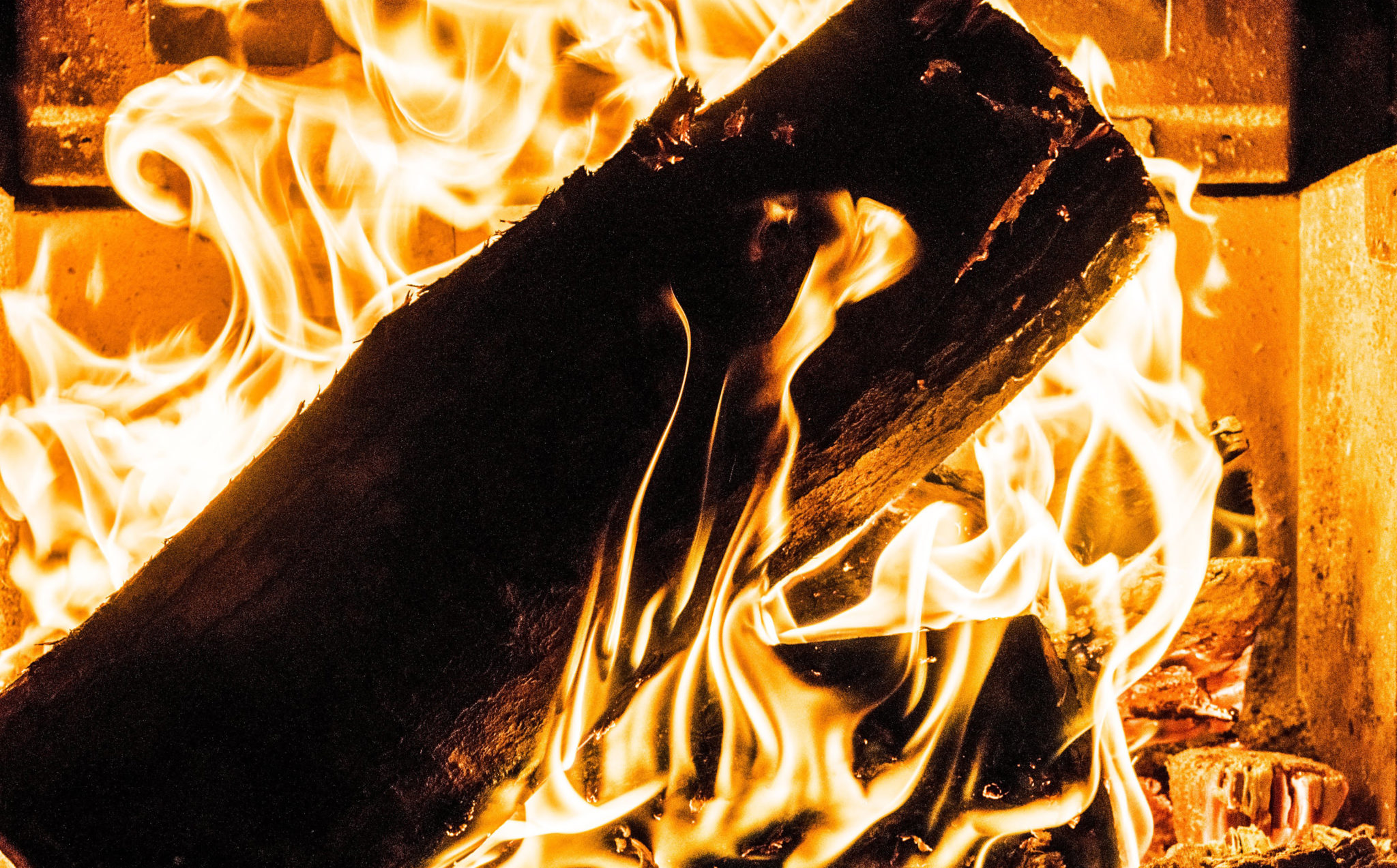 Vision Quest - Monastic Academy for the Preservation of Life on Earth